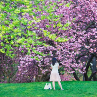 10 Things to Remember When You Feel Alone – Our Better Health