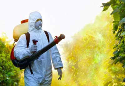 EWG’s Shopper’s Guide to Pesticides in Produce – Our Better Health