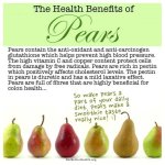Pears: Health Benefits and Nutritional Information – Our Better Health